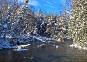 The Friends of the Boyne River | information and news